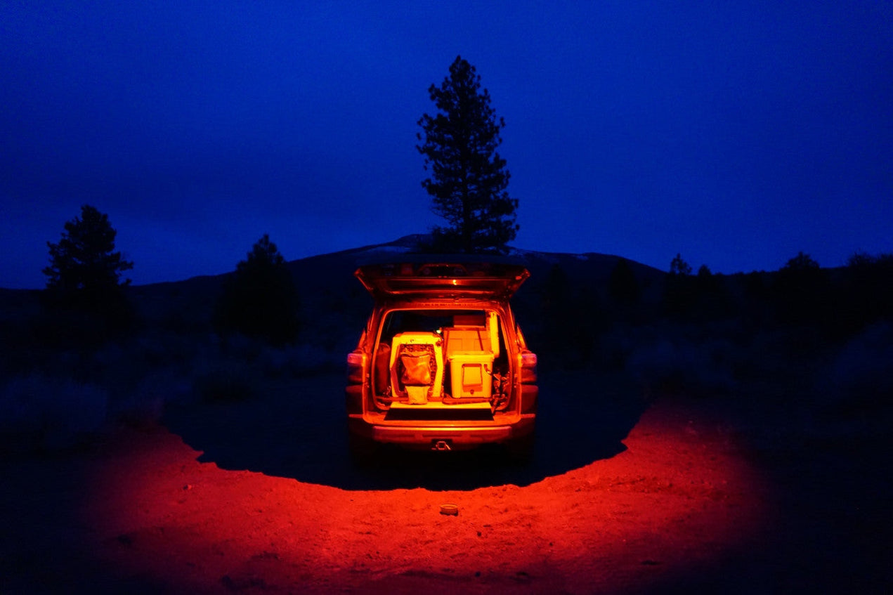 Baja Designs LED Dome Light with Switch Universal — Overland Depot